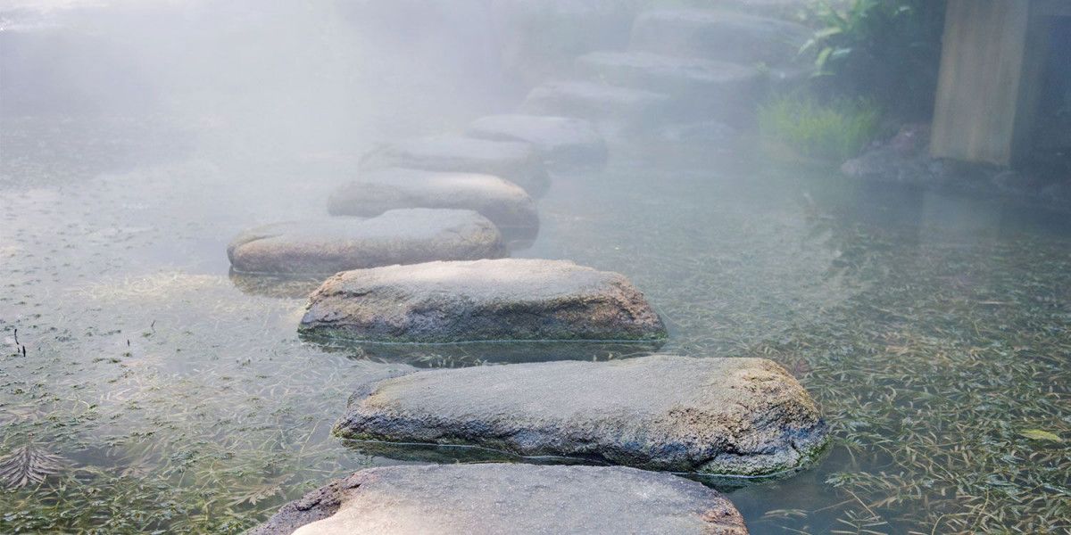 Sustainability needs a common language - News - Media & Politics ...